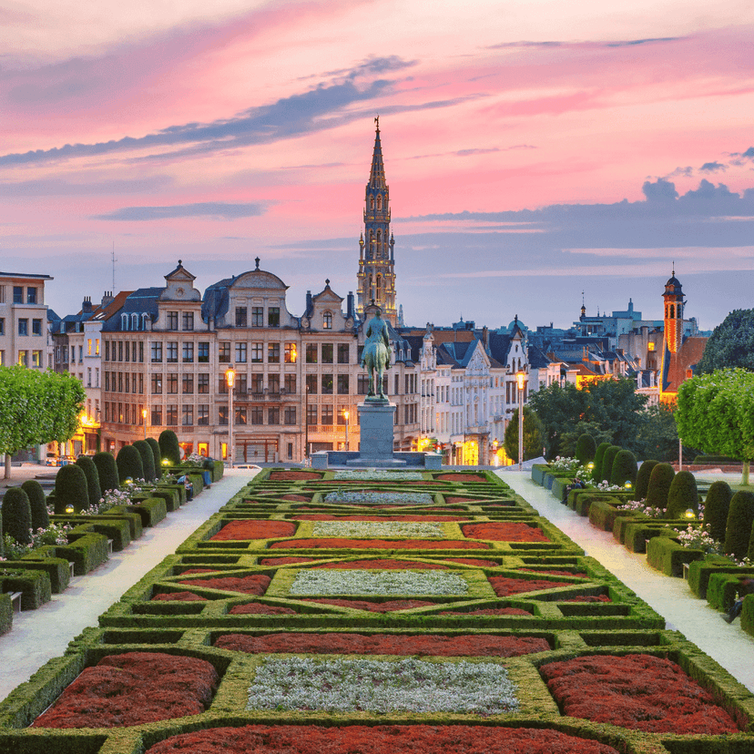 Rotayo | Expanding Horizons for Healthcare Professionals